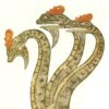Serpent à Trois Têtes : Mythologie & Symbolisme | Snake Elegance